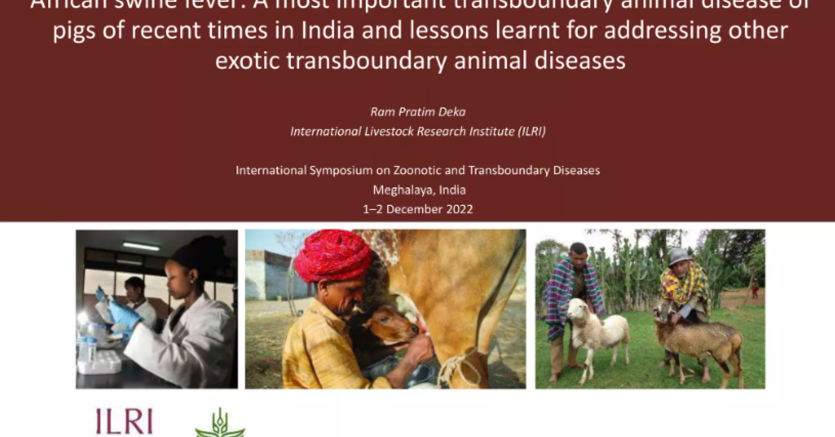 African swine fever: A most important transboundary animal disease of pigs of recent times in ...